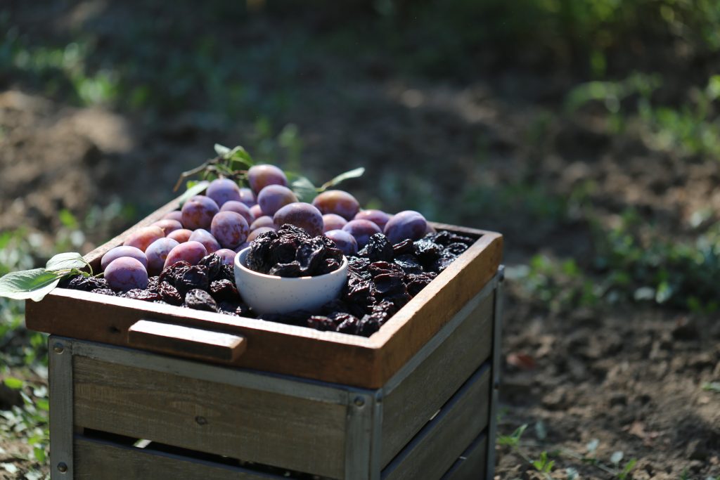 2017 California Prune Harvest Returns to Typical Levels
