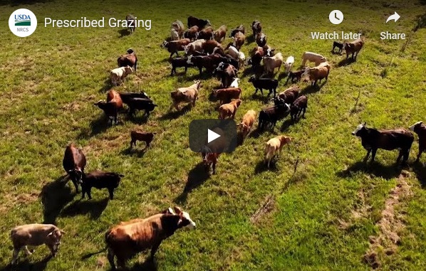 Conservation at Work: Prescribed Grazing and Tools To Do So