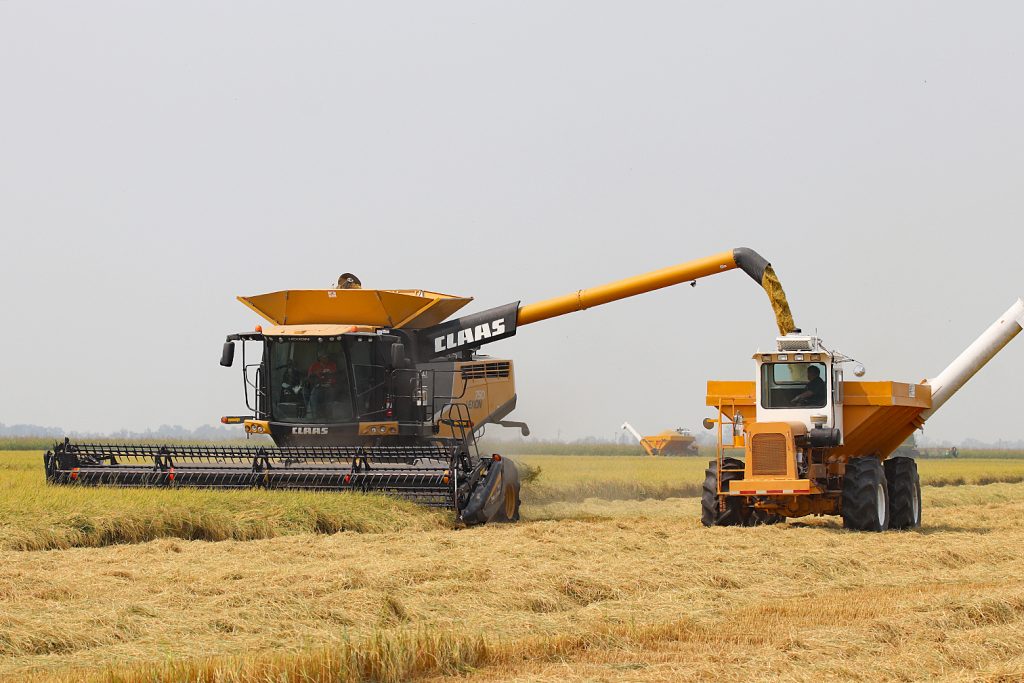 Nearly Double the Acreage for California Rice Farmers This Year