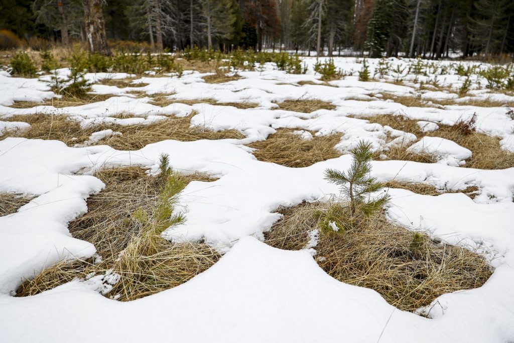 First Survey of the Season Shows a Fraction of Last Year’s Snow Levels