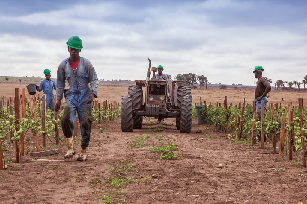 UC ANR Project to Help Underserved Farmers in SoCal with Land Ownership
