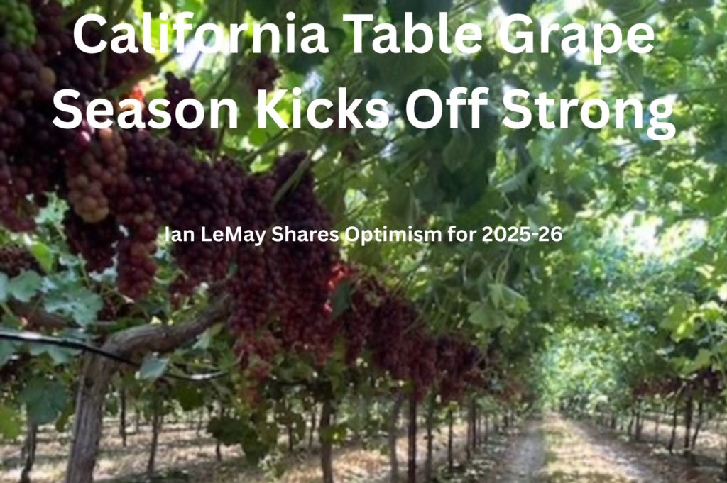 California Table Grape Season Kicks Off Strong: Ian LeMay Shares Optimism for 2025-26