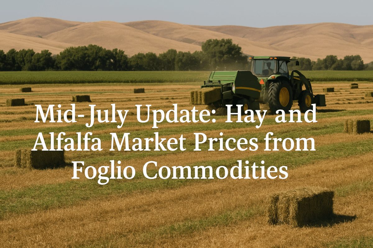 Mid-July Update: Hay and Alfalfa Market Prices - Hay/Alfalfa AgNet West