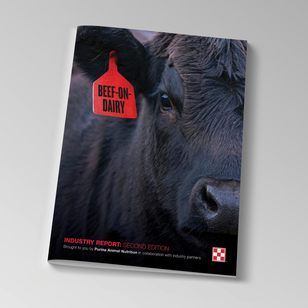 Beef on Dairy Industry Report Highlights Growth and Opportunity