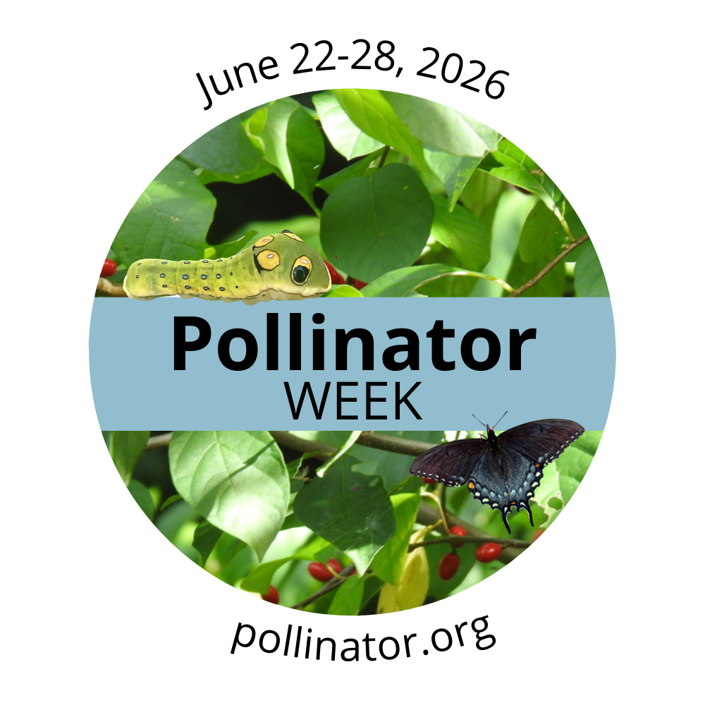 Pollinator Week Webinar to Highlight California Habitat Projects ...